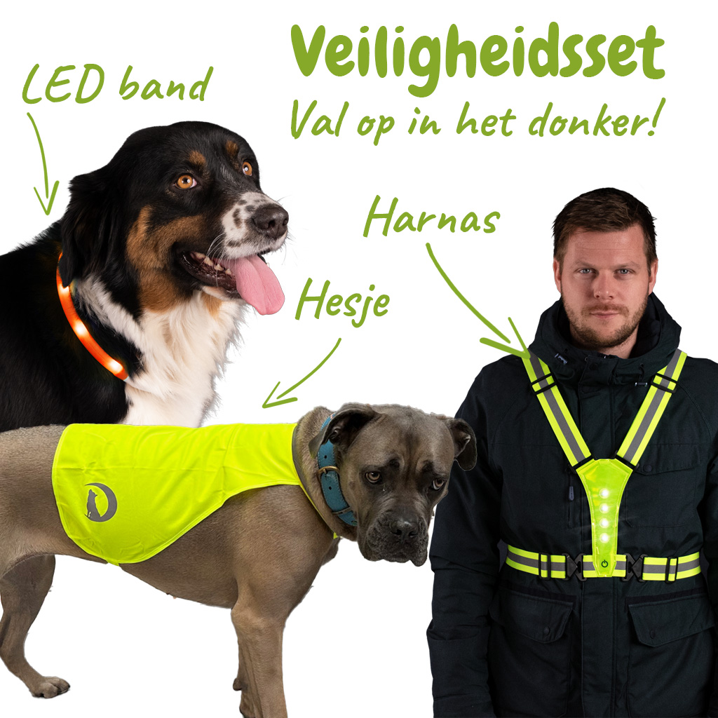 Veiligheidsset